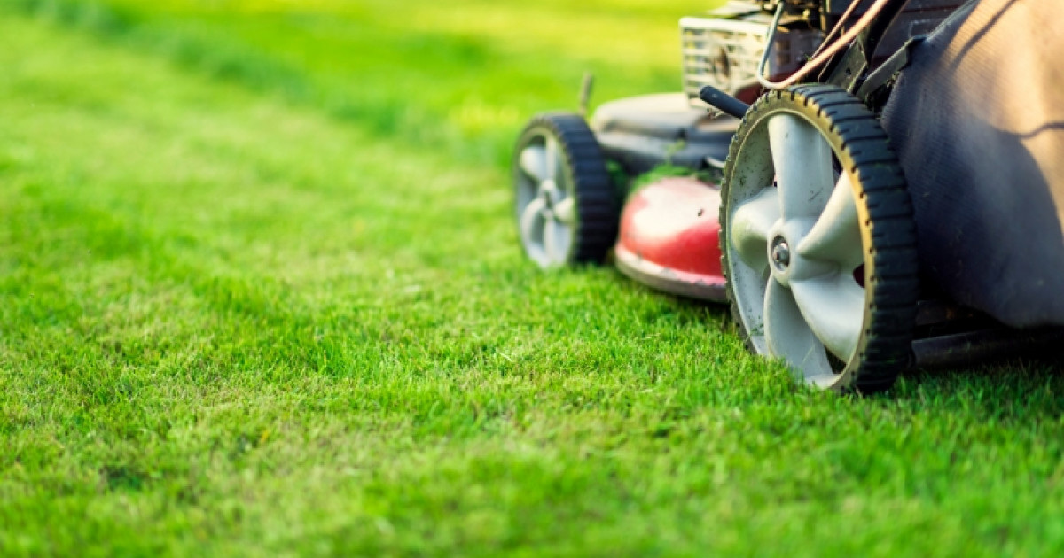 Innen tudhatod mikor kell az évben utoljára füvet nyírni