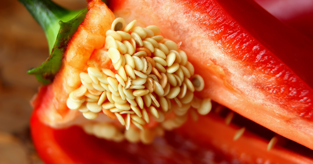 Tényleg tele van vitaminnal a paprika magja? Egyáltalán meg lehet enni?